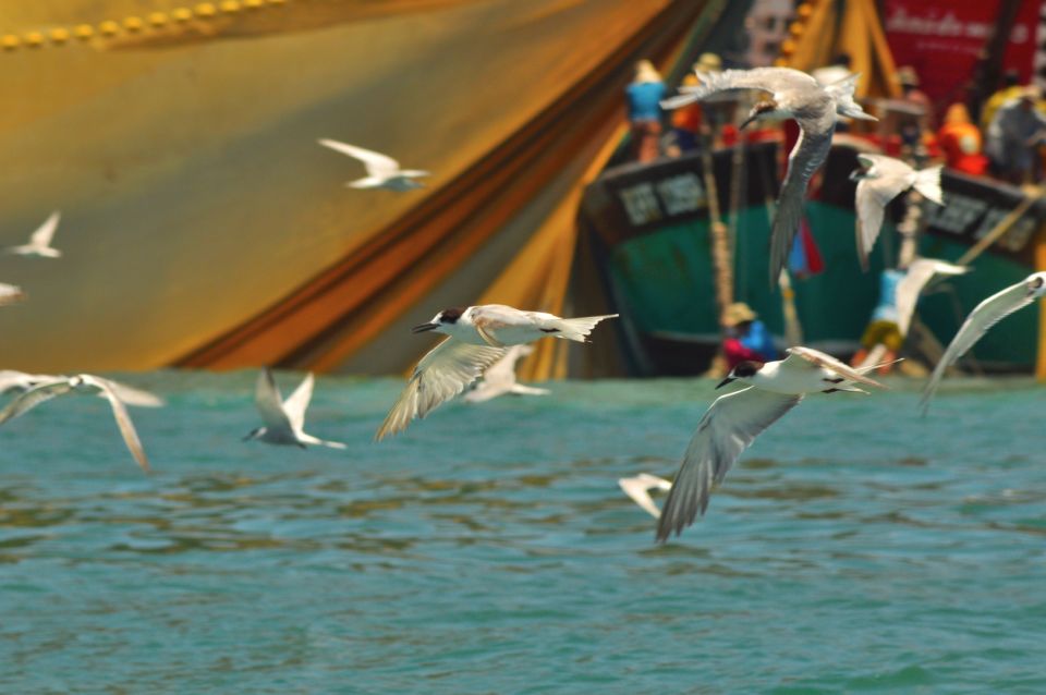 MANGROVE TOUR – Red Sky Car Rental – Langkawi